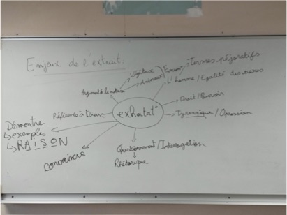 Définir mouvements et projets de lecture | LETTRES